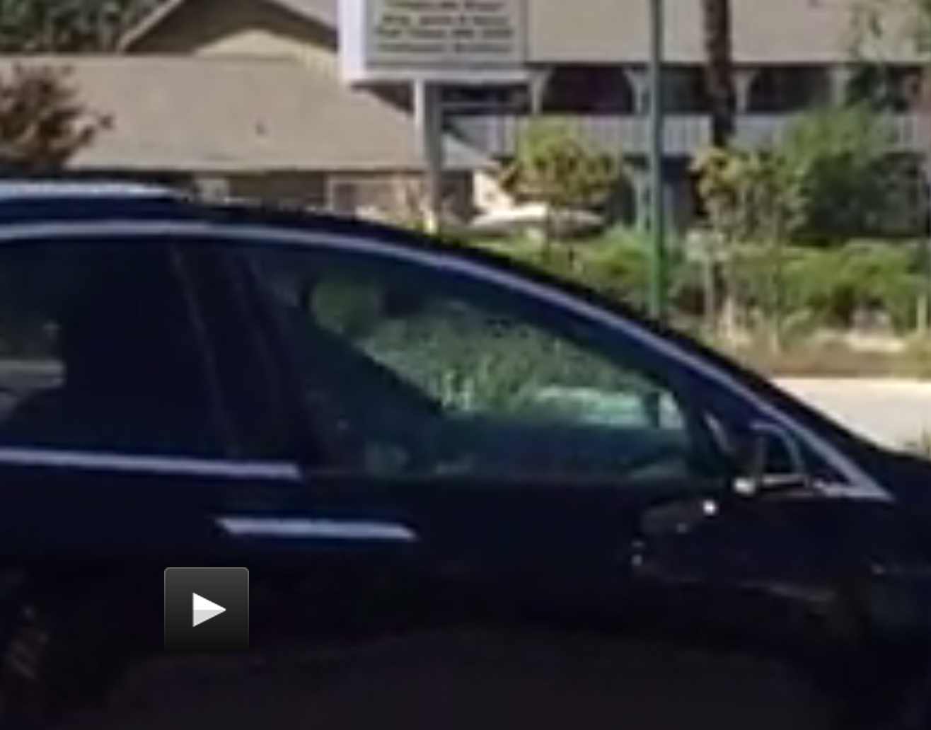 Model X panoramic windshield goes up over driver to the back Falcon ...