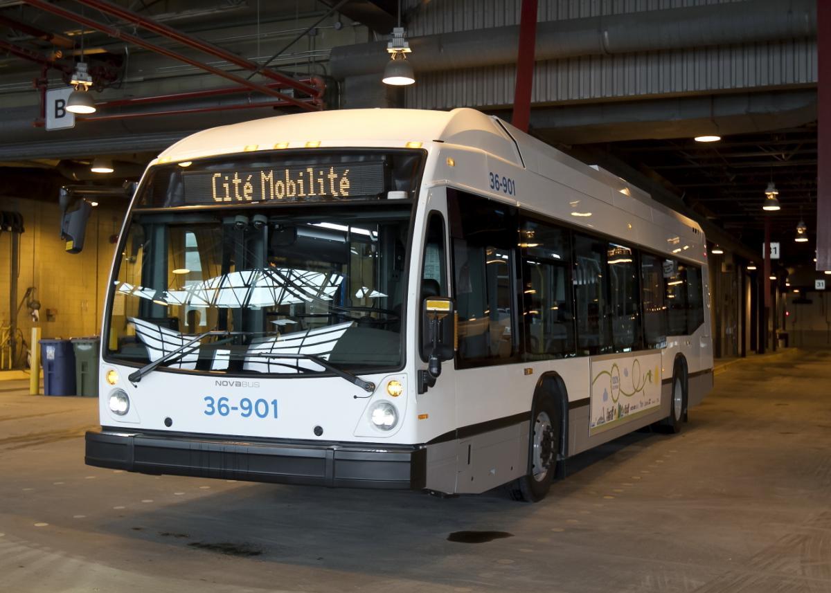 Montreal takes delivery of 3 new all-electric buses made in Canada ...