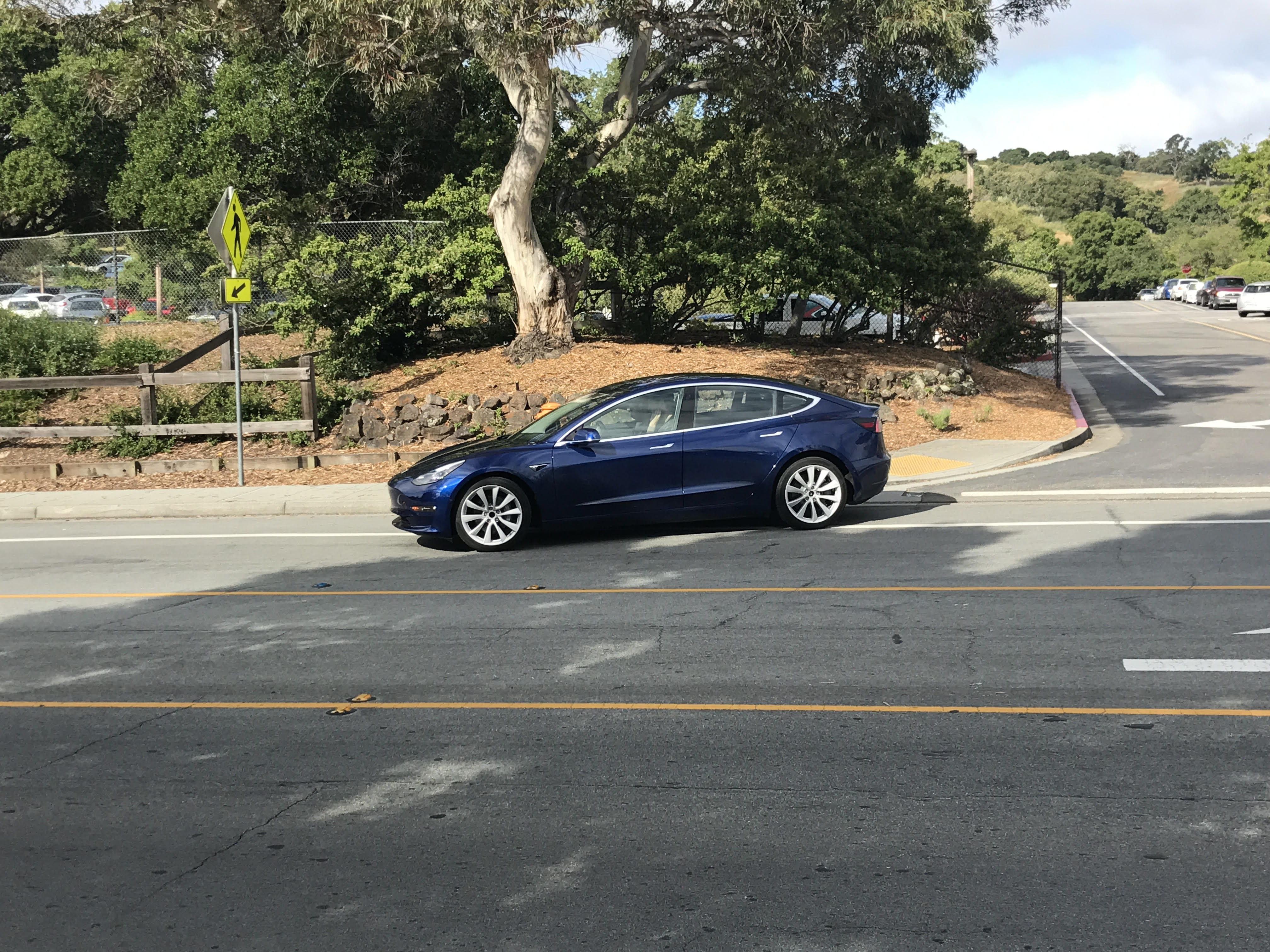 Tesla Model 3: great new high-res look at blue release candidate next ...