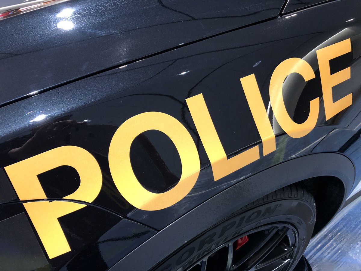 Tesla Model X all-electric SUV converted into police cruiser by Ontario ...