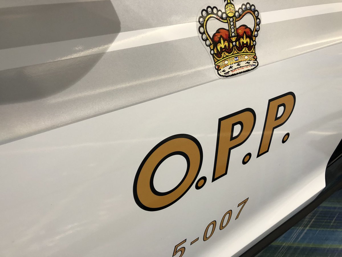 Tesla Model X all-electric SUV converted into police cruiser by Ontario ...