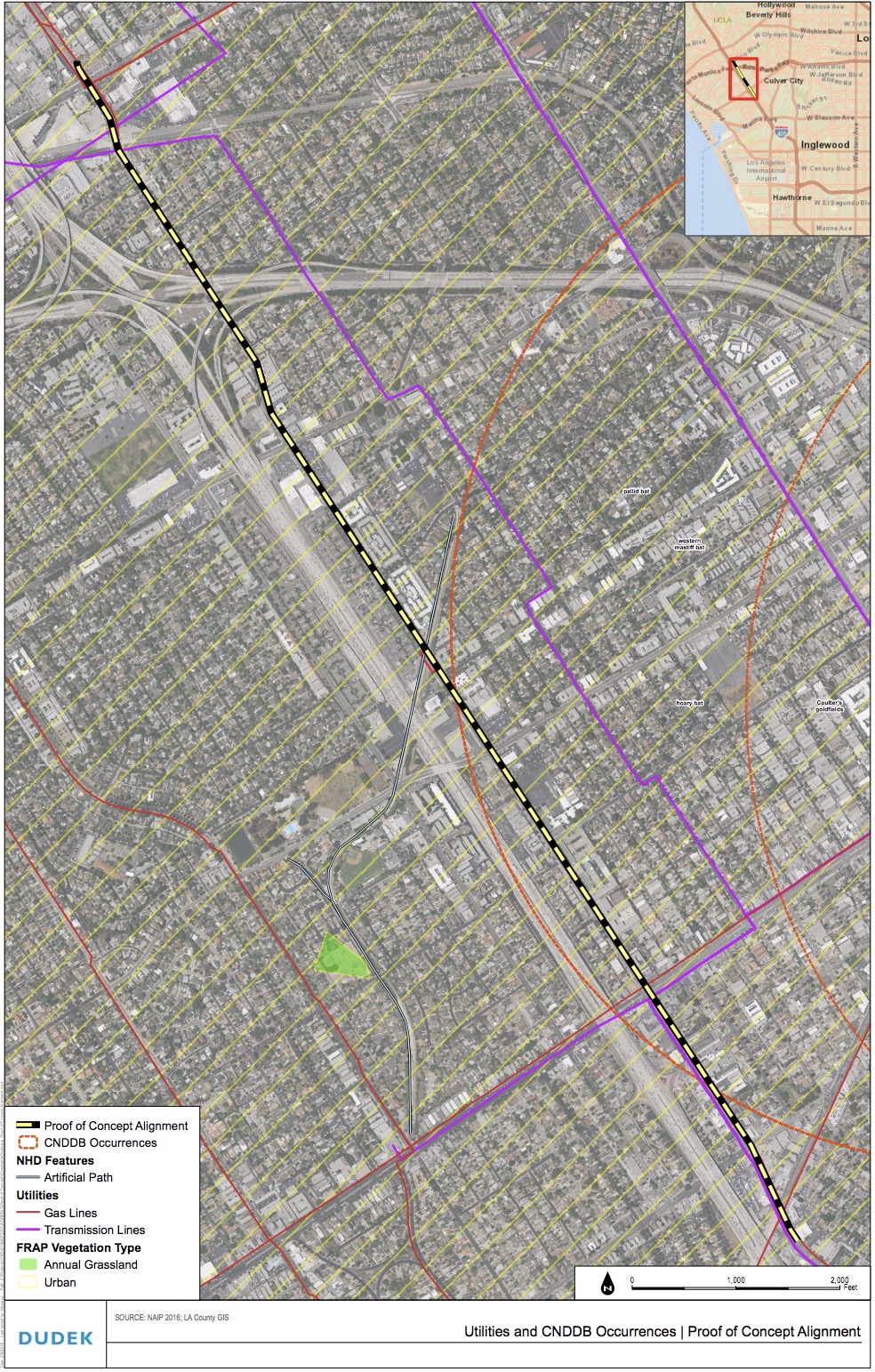 Boring Company LA tunnel moves for exemption as Elon Musk brings a ...
