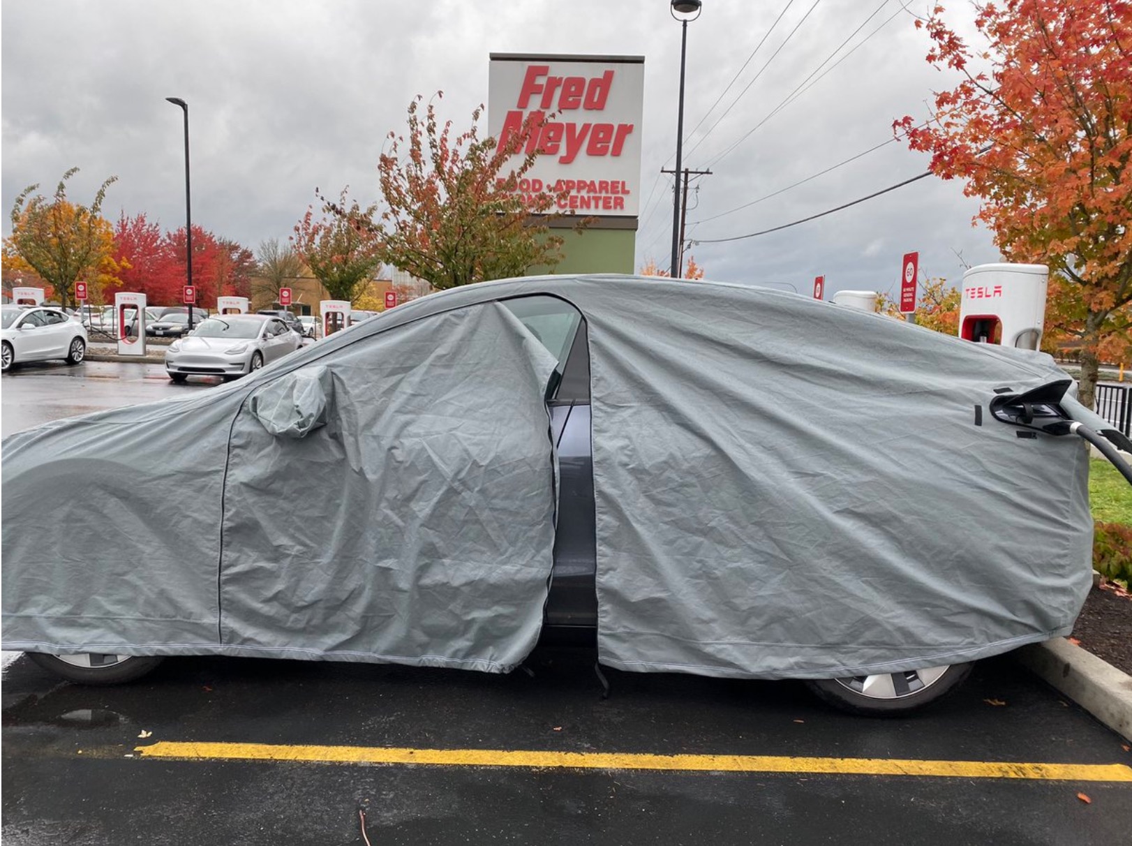Tesla Model Y prototype spotted in Washington - start of long-distance ...