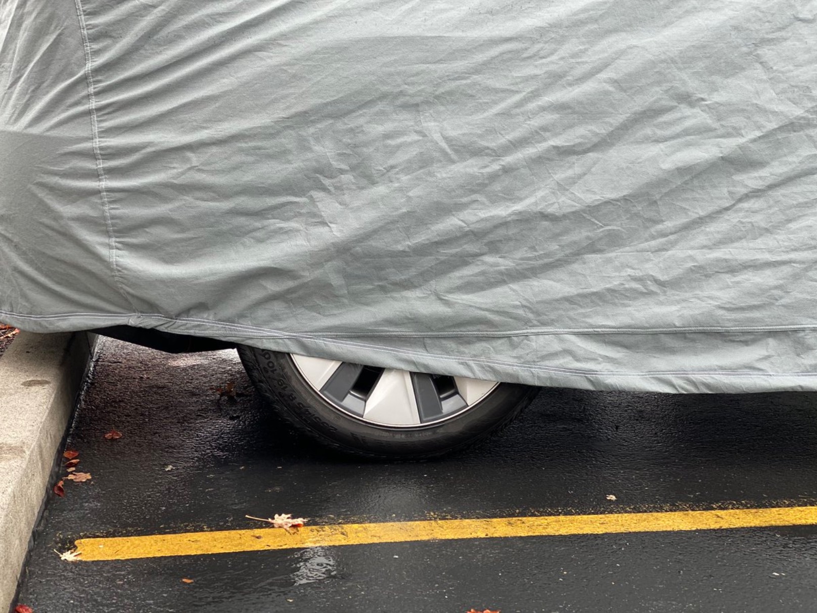 Tesla Model Y prototype spotted in Washington - start of long-distance ...