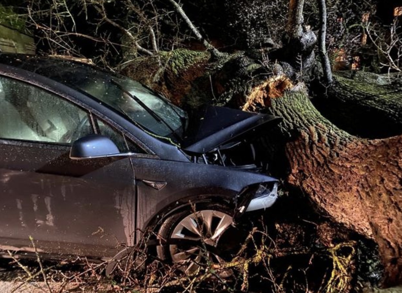 Tesla Autopilot saved two families, say owners in freak accident where ...