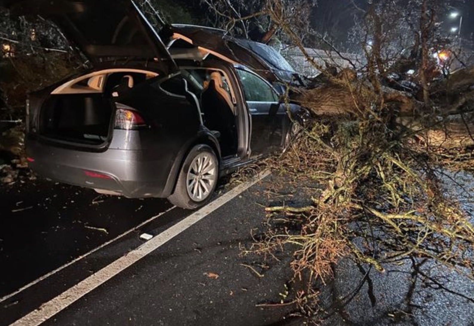 Tesla Autopilot saved two families, say owners in freak accident where ...