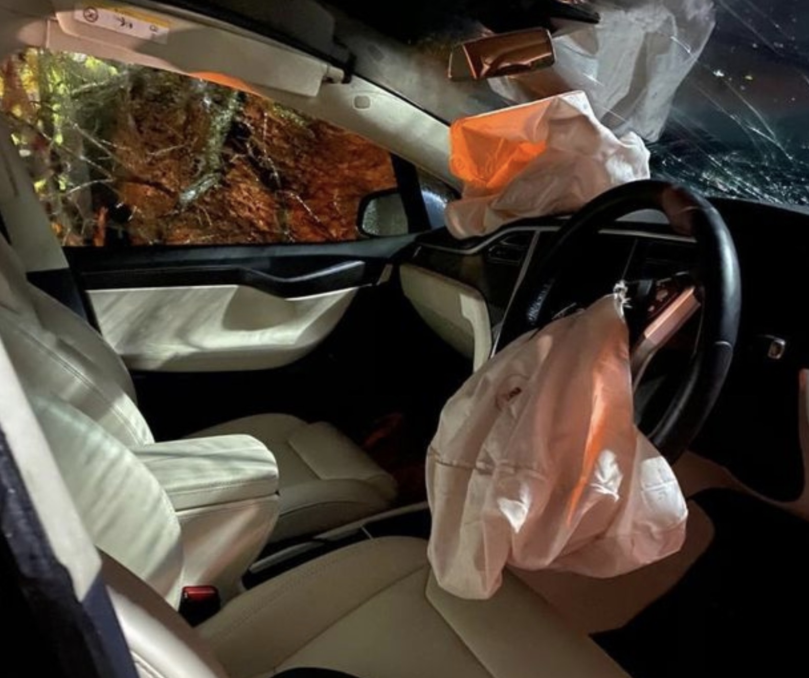 Tesla Autopilot saved two families, say owners in freak accident where ...