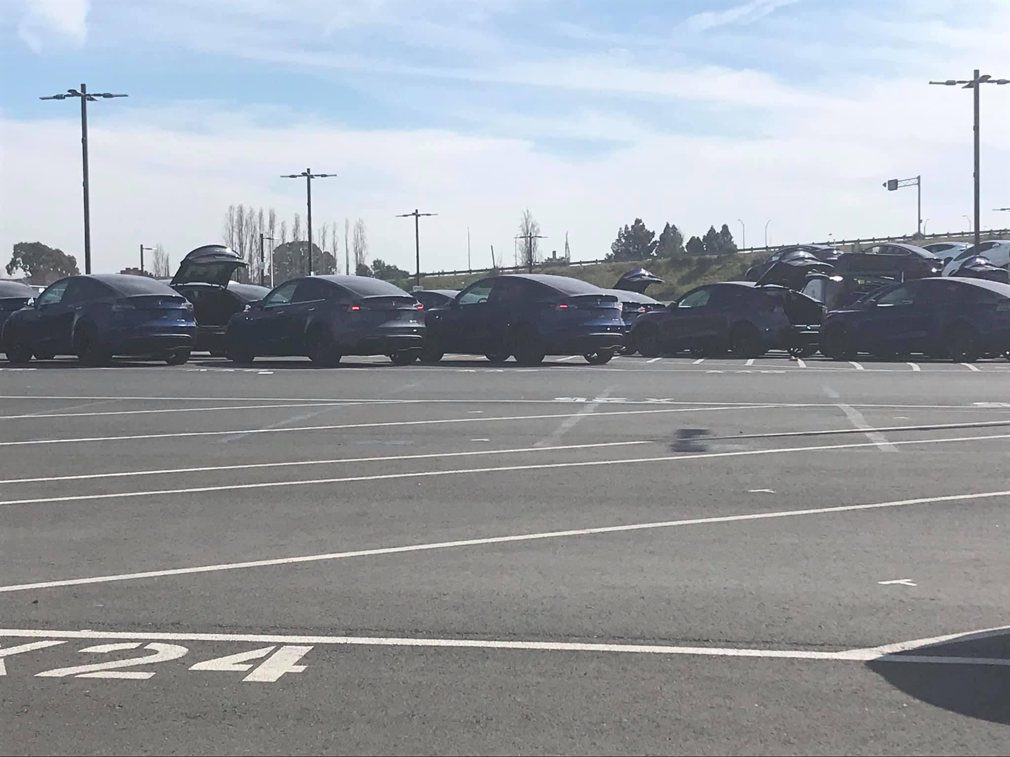 Tesla spotted stockpiling some brand-new Model Y SUVs at factory | Electrek