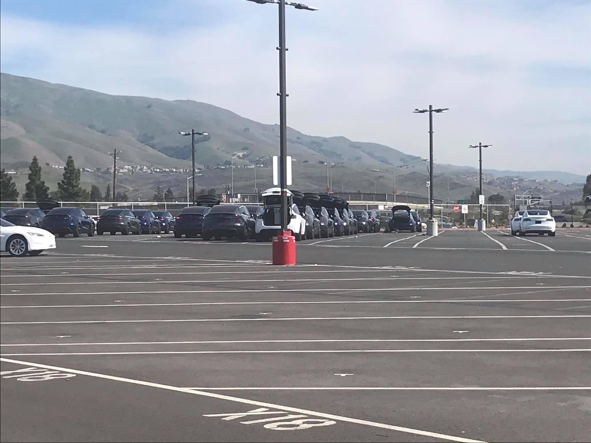 Tesla spotted stockpiling some brand-new Model Y SUVs at factory - Electrek