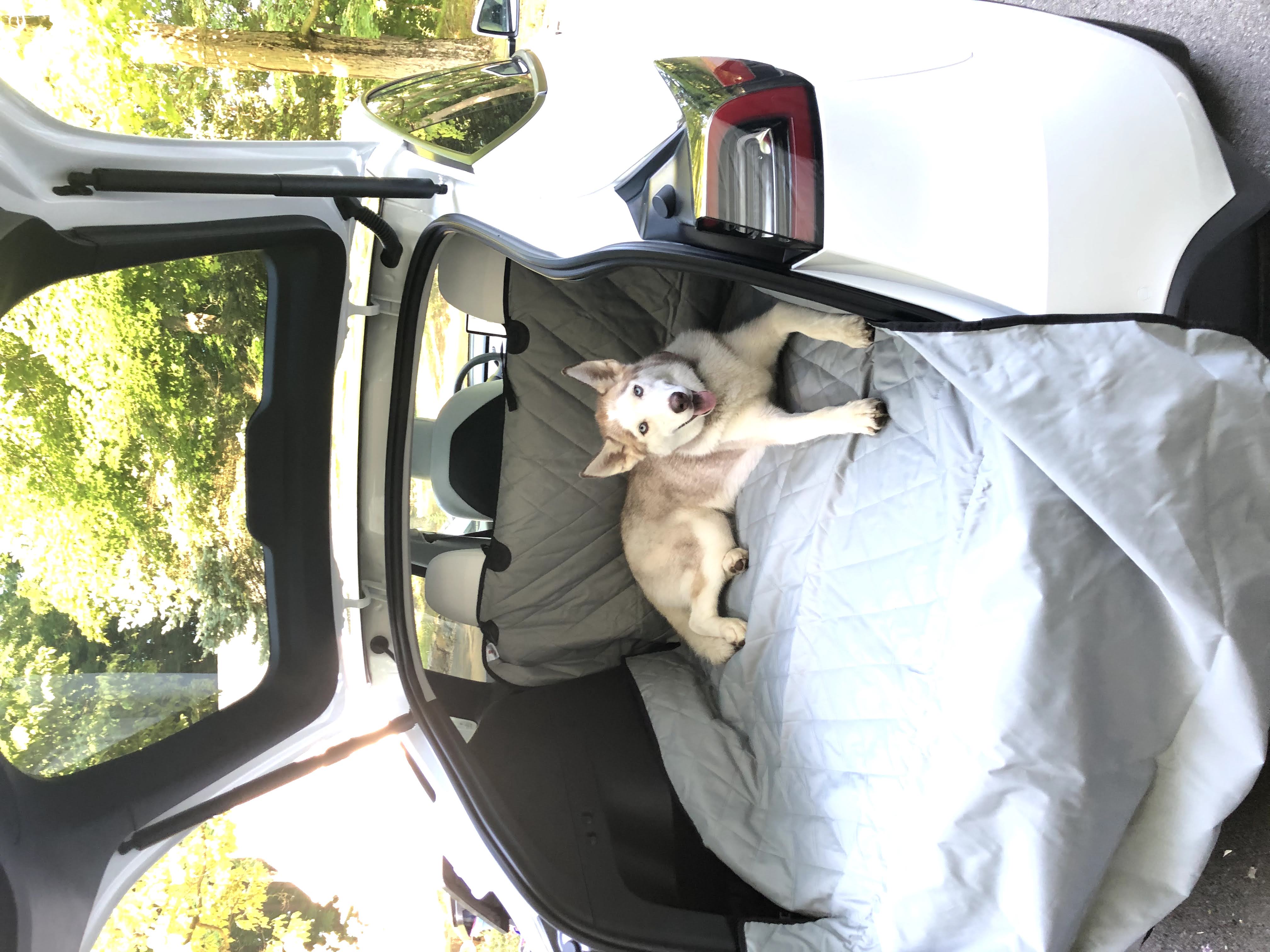 Tesla Model Y diary: Day 4 range test family trip with bikes | Electrek