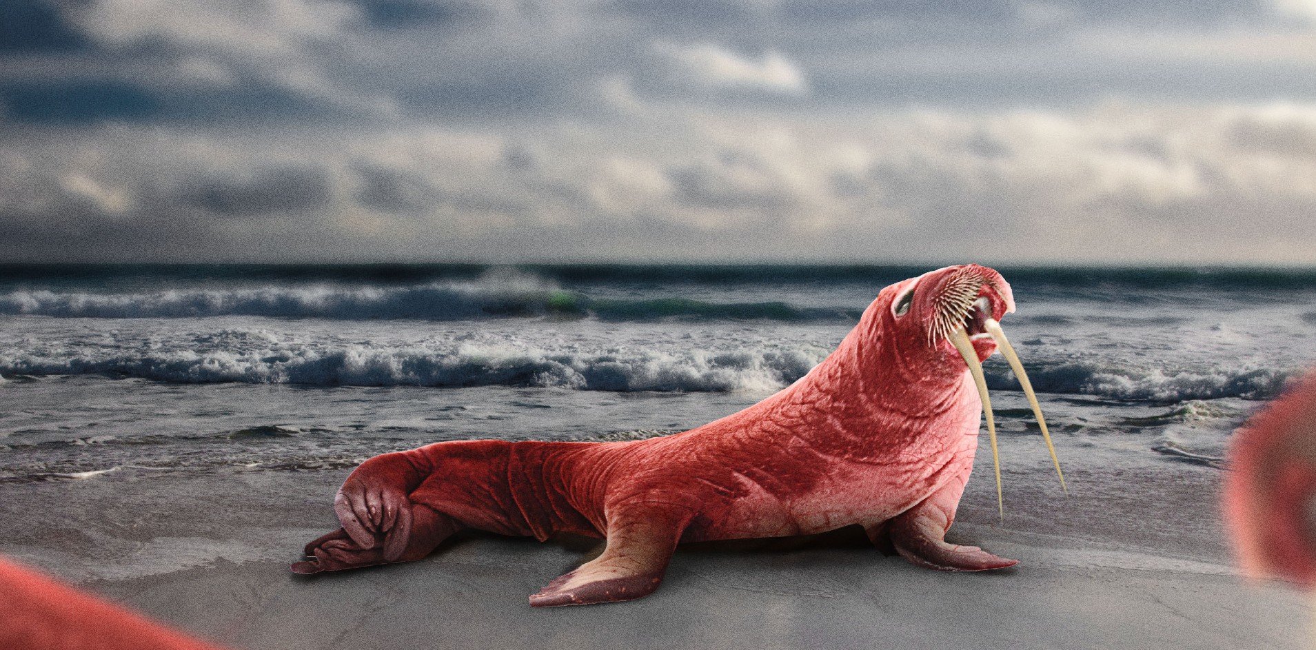 Climate Crisis Weekly: Are these the animals of the future? - Electrek