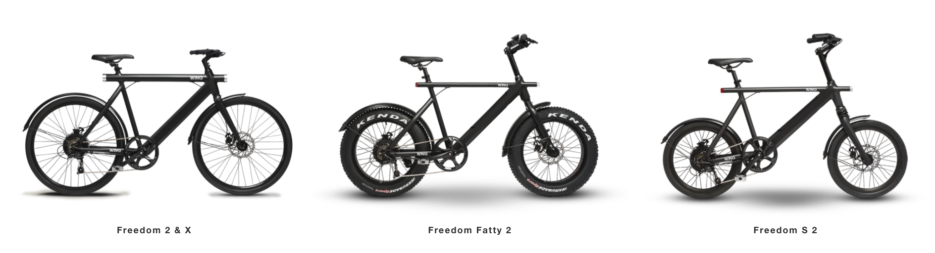 Wing Freedom X e-bike launched, bringing fancy features at a budget price