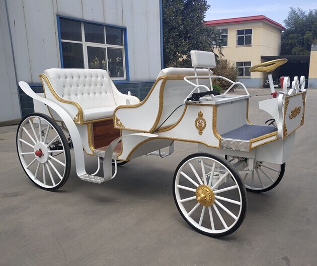 Awesomely Weird Alibaba EV of the Week: an electric horseless carriage!