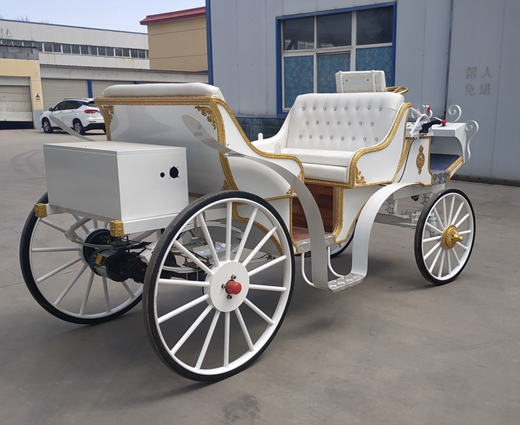 Awesomely Weird Alibaba EV of the Week: an electric horseless carriage!