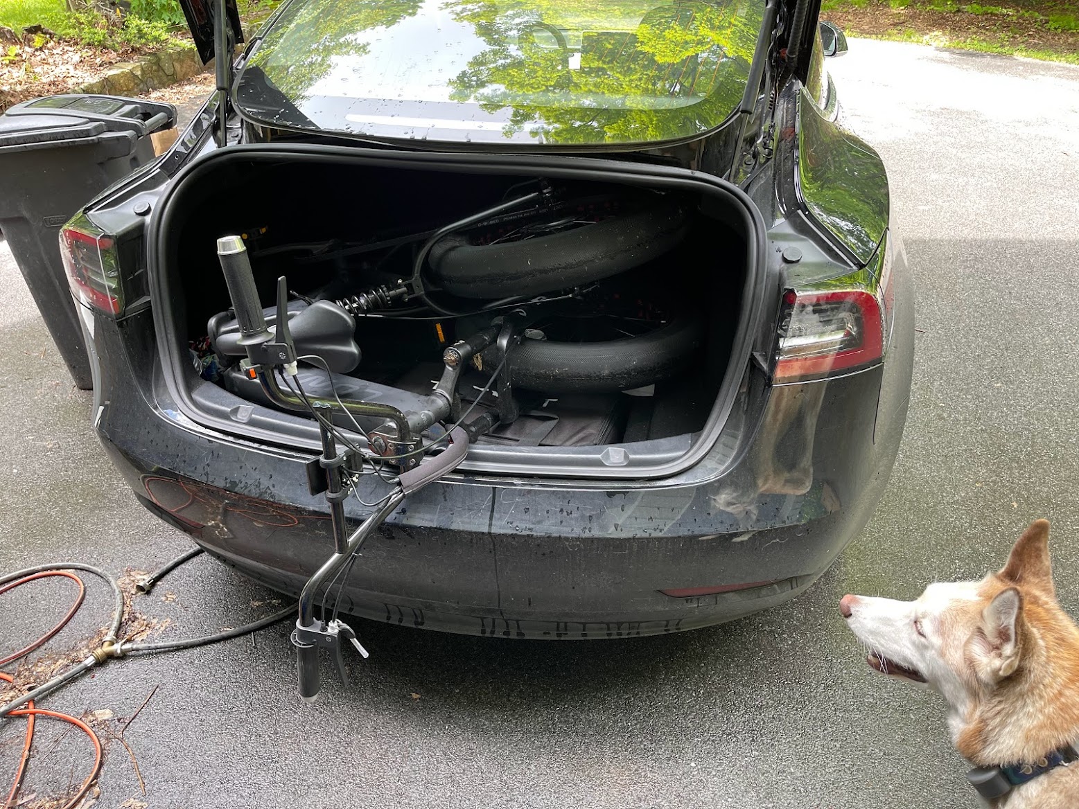 Review: Luna Eclipse full-suspension fat tire foldable BMX e-bike ...