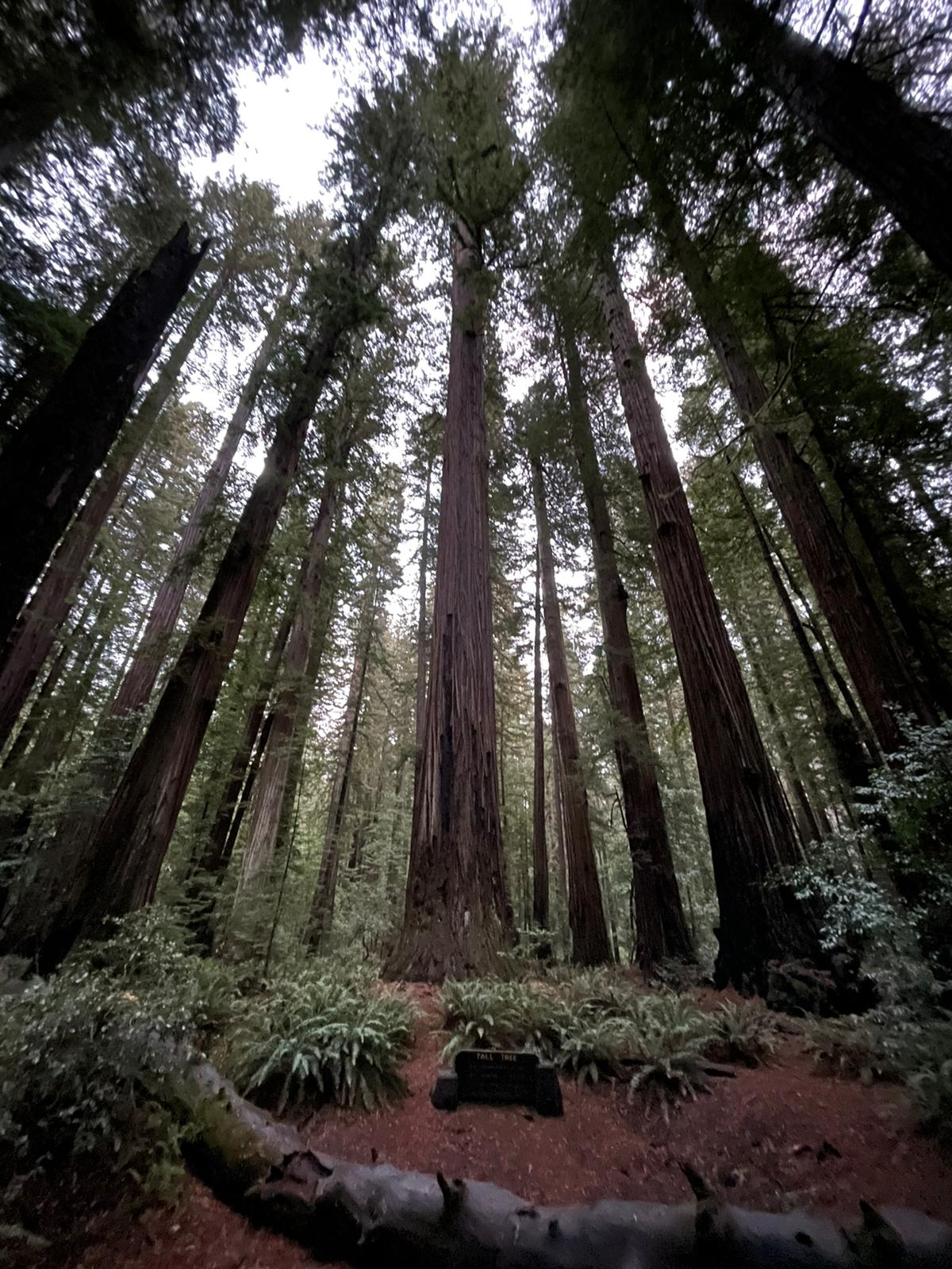 I took a 2,200 mile electric roadtrip with no prep. It was easy. What's ...