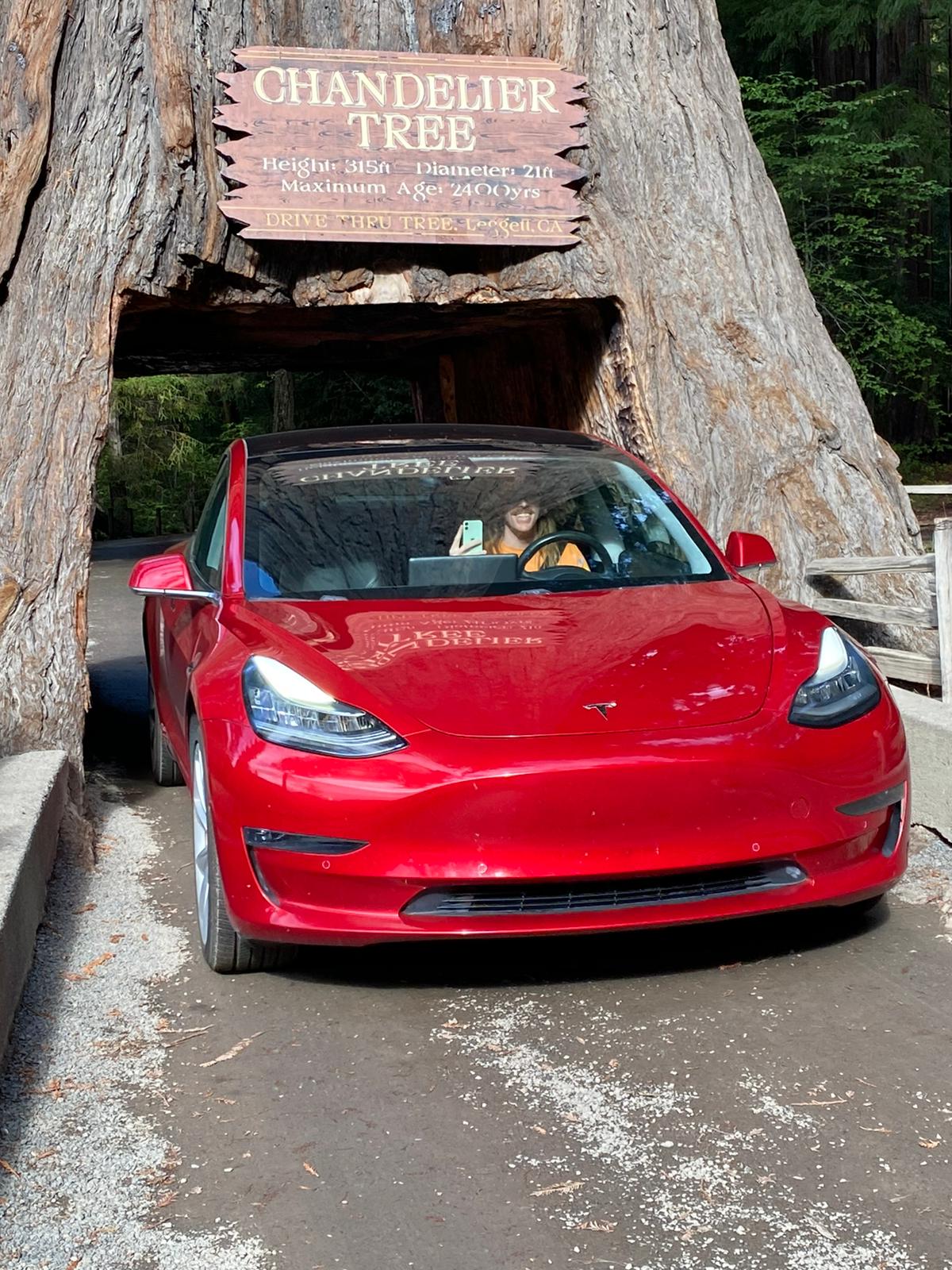 I took a 2,200 mile electric roadtrip with no prep. It was easy. What's ...
