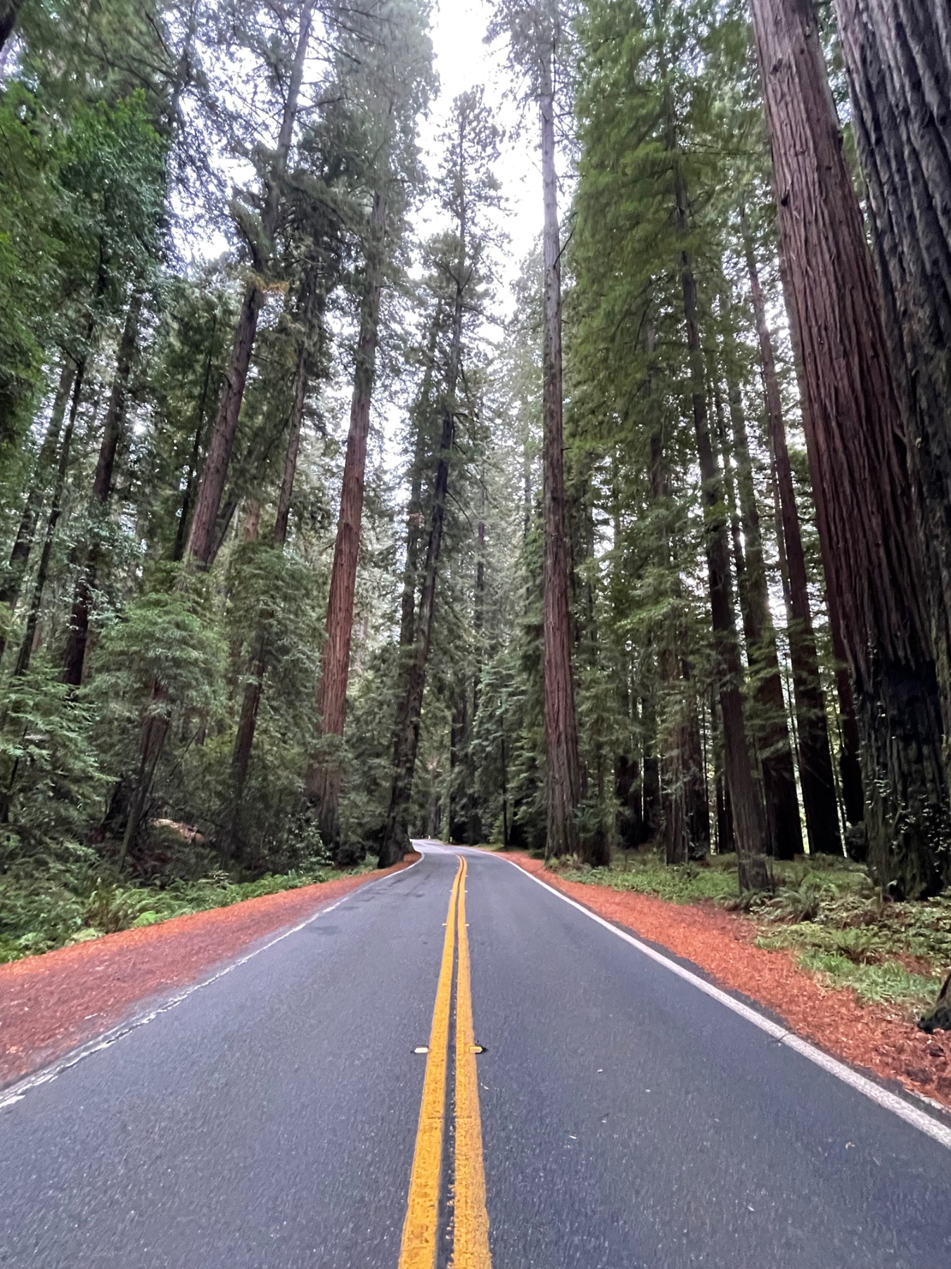 I took a 2,200 mile electric roadtrip with no prep. It was easy. What's ...