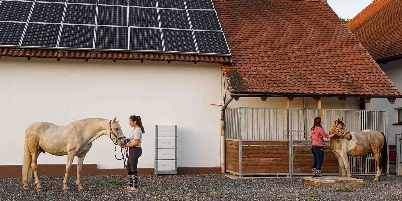 Take advantage of early bird pricing as BLUETTI EP600 launches