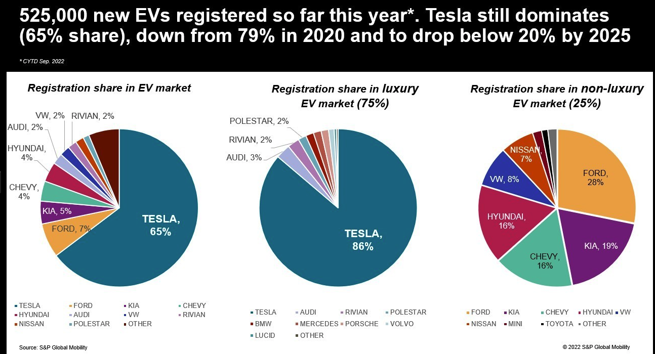 Tesla still owns US EV market but is losing market share, shows new data
