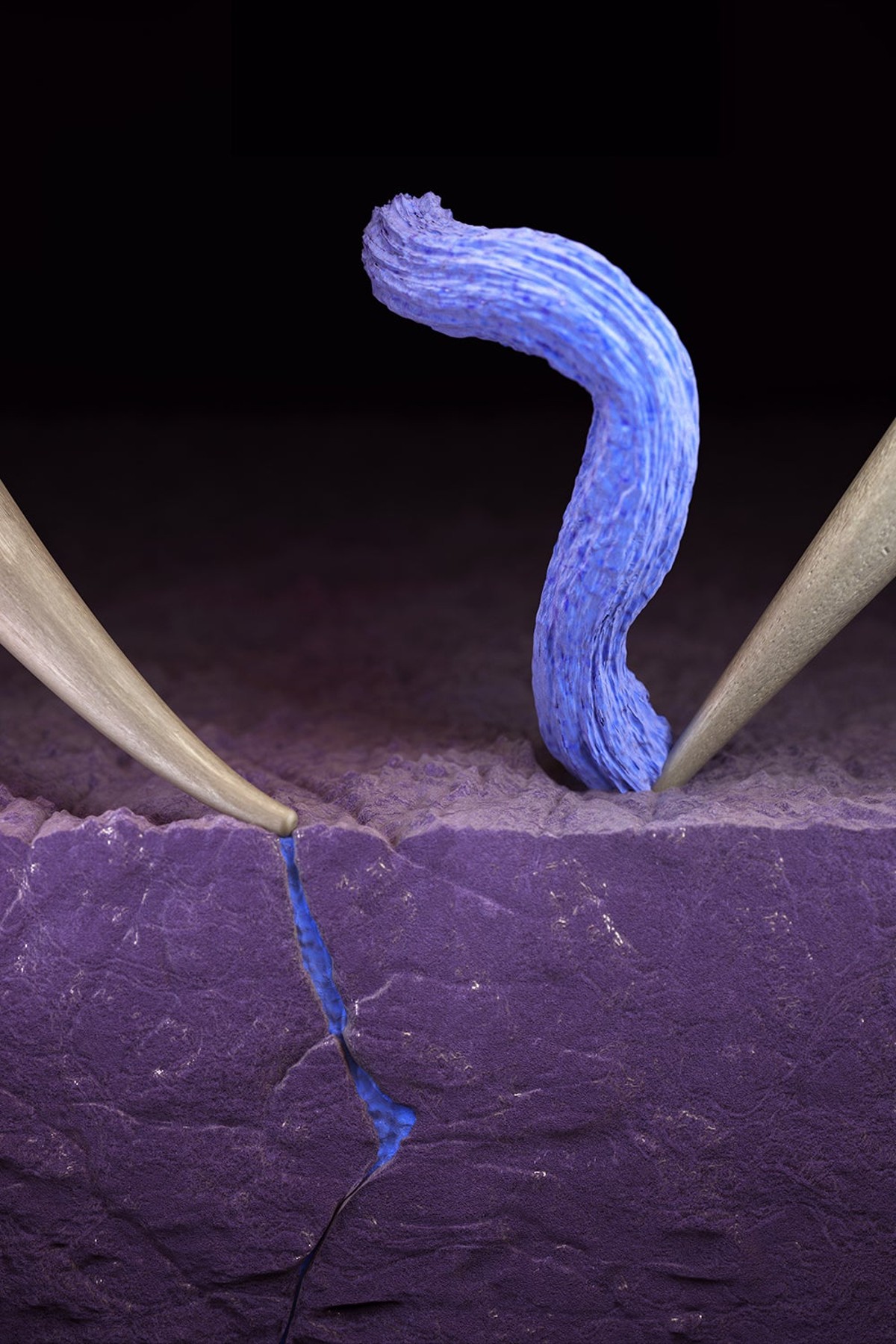 Stanford scientists figured out why lithium metal batteries fail