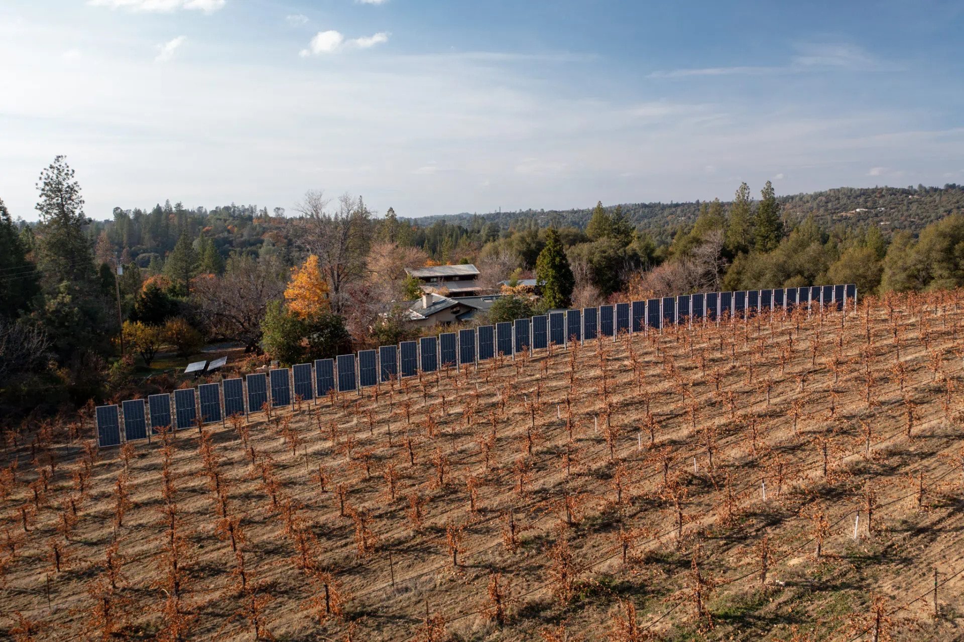 These new vertical solar systems are specially designed for farms