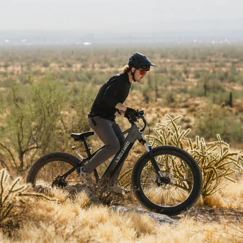 Lectric XPeak launch is new best bang-for-your-buck electric bike