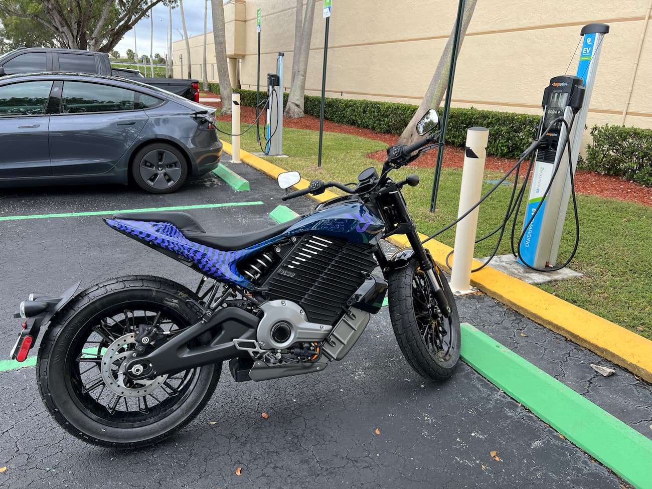 I bought Harley's new electric motorcycle, here's what showed up