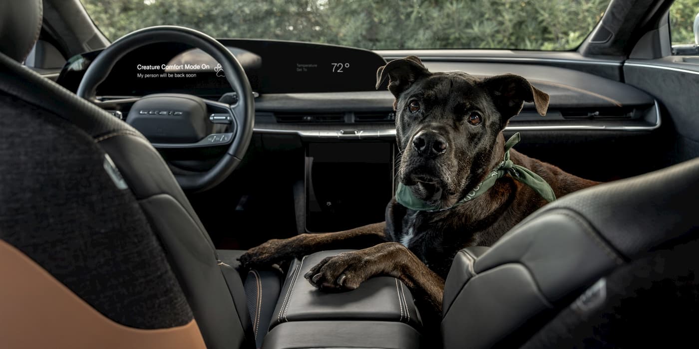 Lucid releases helpful Tesla Dog Mode-like feature for pet owners