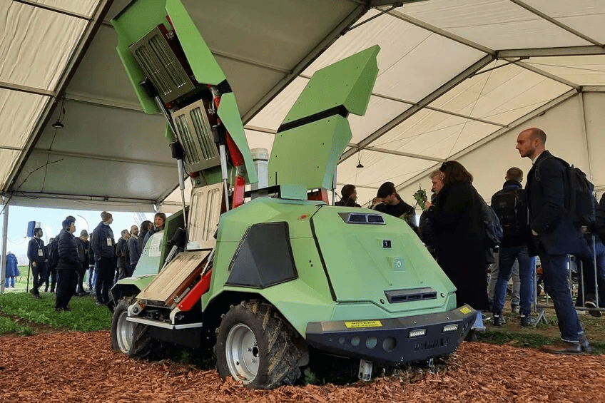 Adorable Italian robot uses blasts of radiation to fight mildew