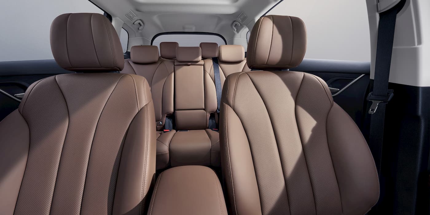 BYD just launched the first electric MPV in this booming EV market