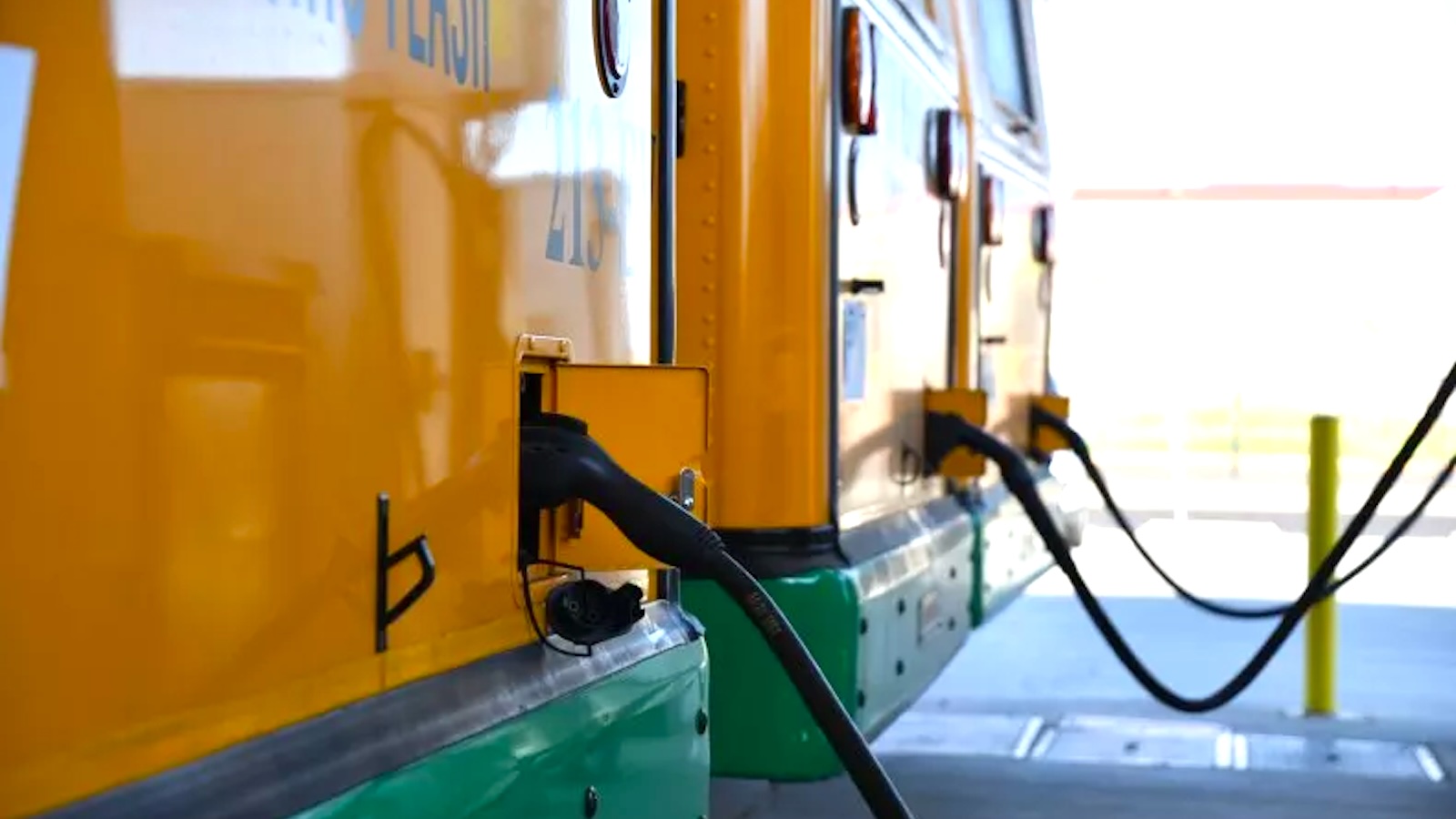 Glades County schools get 13 new Blue Bird electric school buses