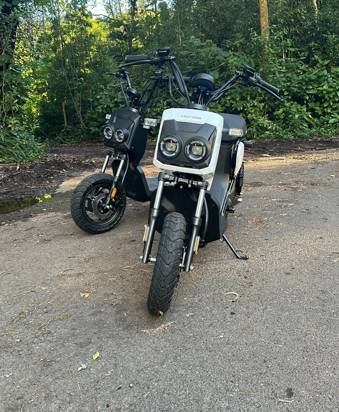 Honda now has an electric Ruckus. Will they bring it to the US? | Electrek